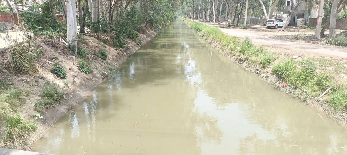 Water Reaches Sundar, Mitathal, And Jui Canals; Rationing In The City ...