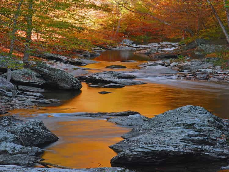 Klondike River Gold Flows In This River For Many Years - इस नदी में ...
