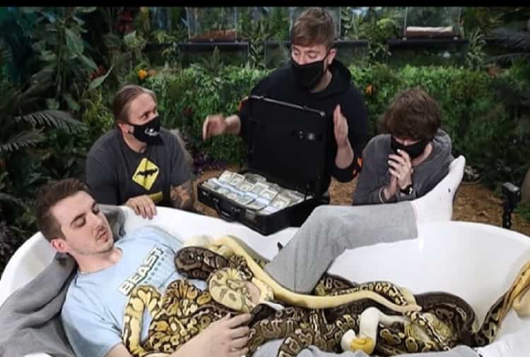 Mrbeast Challenge People To Sit In A Bath Tub Full Of Snakes For 10000 ...