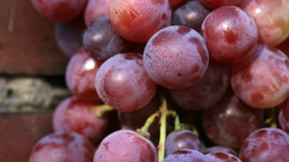 Most Expensive Fruits: The Five Most Expensive Fruits In The World Know ...