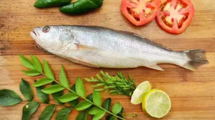 विश्व मत्स्य पालन दिवस : समुद्र का सोना क्यों कही जाती है घोल फिश ...