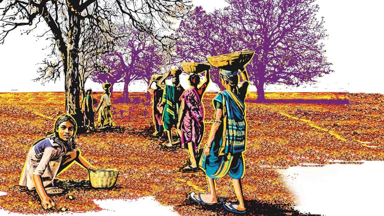 महुआ के फूलों में महकता गांव : लोकजीवन में रचा-बसा महुआ और इससे जुड़ी ...