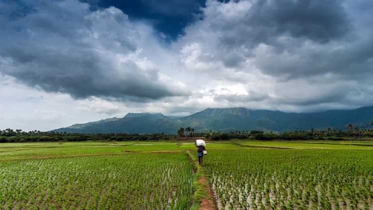 Monsoon 2025: इस साल सामान्य मानसून की उम्मीद, ला-नीना पर भी आई रिपोर्ट, जानें आपके राज्य में ...