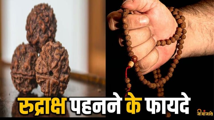 Rudraksha Benefits: शिव का रूप है रुद्राक्ष,जानिए अलग-अलग रुद्राक्ष ...