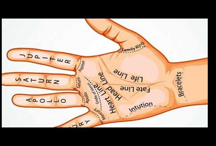 Hasthrekha Career Astrology Palmistry Tips Significance - हस्तरेखा से ...