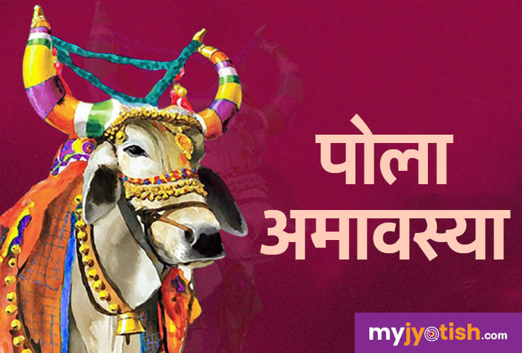 Bail Pola: Bail Pola Festival Is A Special Time Of Thanksgiving And ...