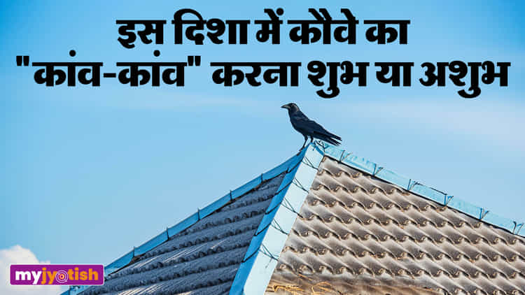 Crow Cawing Meaning, If Crows Caw In This Direction, Then This Could Be ...