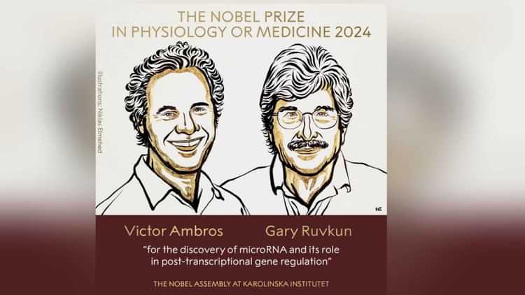 2024 Nobel Prize In Medicine Goes To Us Scientists For Microrna Discovery; Read Details Here ...