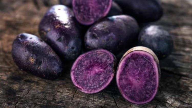 Black Potato: बुंदेलखंड में उग रहा दक्षिण अमेरिका में उगने वाला काला ...