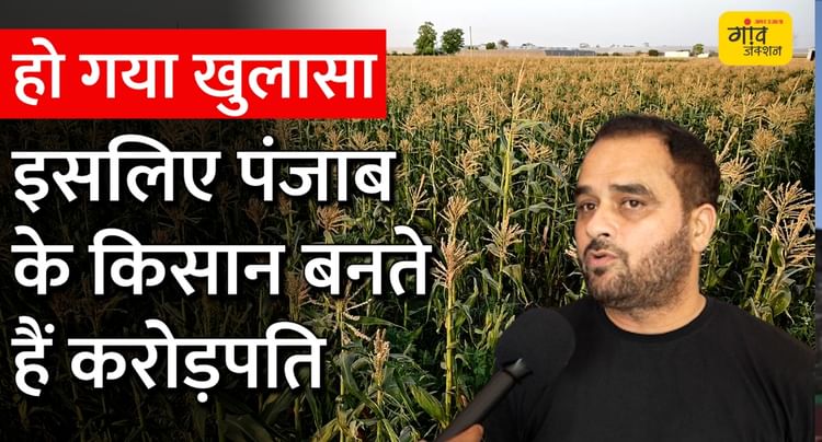 कैसे करोड़पति बन जाते हैं पंजाब के किसान खेती के लिए अपनाते हैं कौन सी