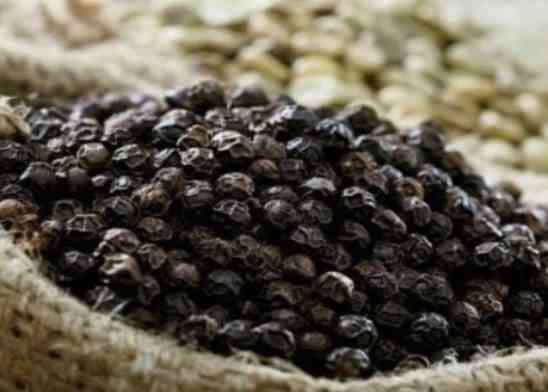 Pepper Farming: काली मिर्च किसान अब खुद करेंगे अपनी उपज का दाम तय ...