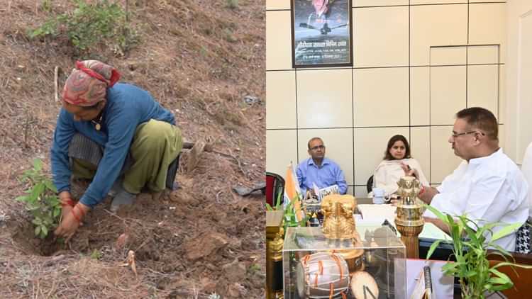 उत्तराखंड: हरेला पर्व पर लगाए जाएंगे पांच लाख से अधिक फलदार व उपयोगी ...