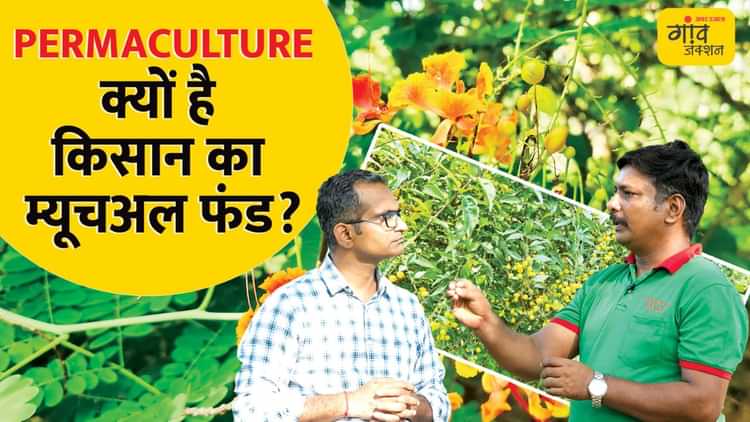 Permaculture Model : खुद के बनाए जंगल में क्यूं रहता है पूरा परिवार ...
