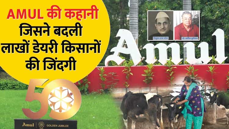 Amul Success Story: अमूल ने कैसे बदली लाखों डेयरी किसानों की जिंदगी ...