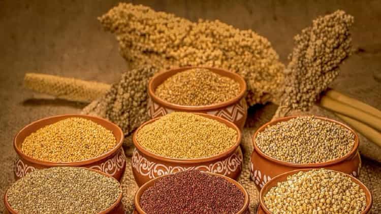Millets: सेहत का खजाना हैं श्री अन्न, खेत से पेट तक मिलेट्स से फायदा ही ...