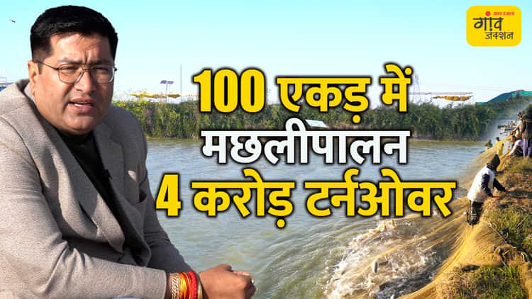 Fisheries: 300 टन मछली उत्पादन, 4 करोड़ टर्नओवर - Fisheries: 300 Tons ...