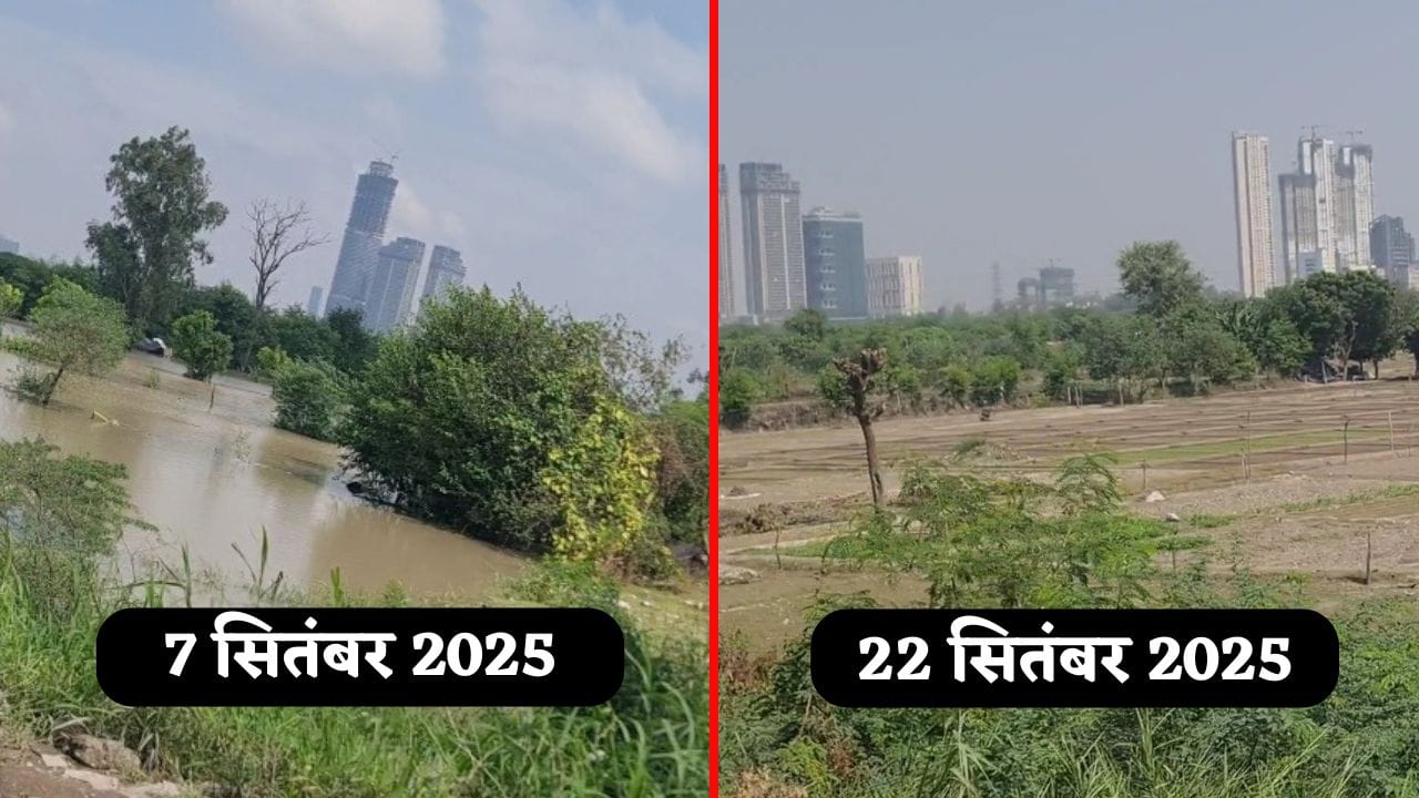 प्रकृति का पर्व नवरात्रि : किसान जब आस्था के साथ बोते हैं उम्मीदों के ...