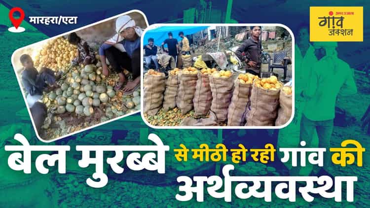 एटा : बेल पत्थर से बनी इस गांव की पहचान, मुरब्बे से महिलाएं और युवा बने ...