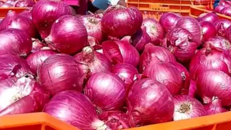 Onion: महाराष्ट्र के किसानों को मिला नया बाजार, मॉरीशस जाएगी एक लाख टन ...