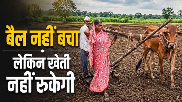 झकझोर देगी लातूर की दर्दनाक तस्वीर: बैल नहीं बचा, लेकिन खेती नहीं ...
