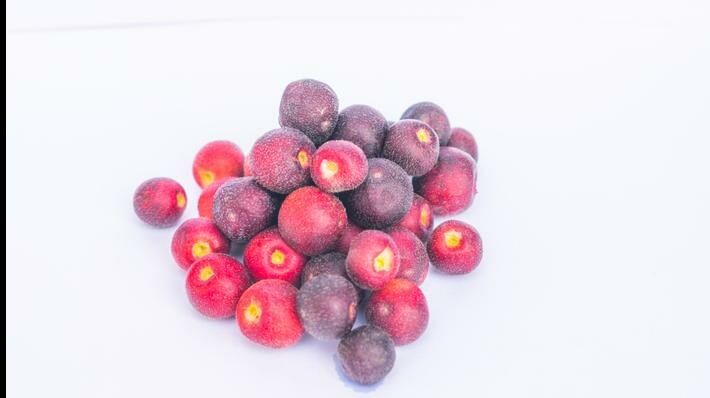 Health Benefits Of Phalsa: किसी जादुई दवा से कम नहीं हैं फालसे, जानें ...