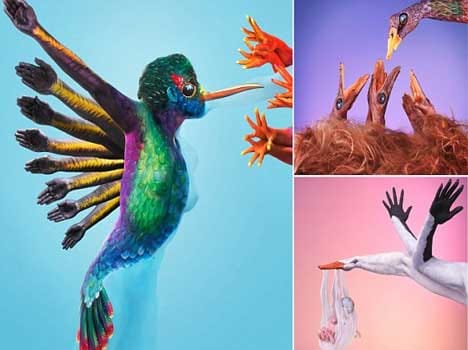 Transforming People Into Birds - Amar Ujala Hindi News Live - कपड़े ...