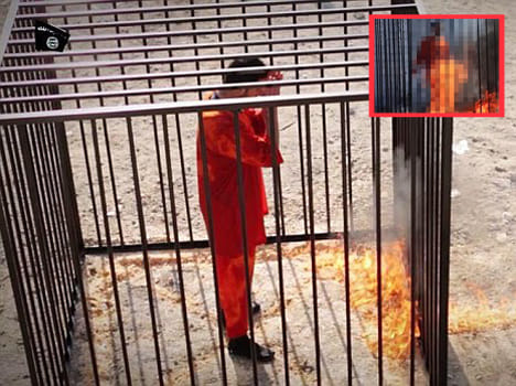 Isis Executed Jordanian Pilot By Burning - Amar Ujala Hindi News Live ...
